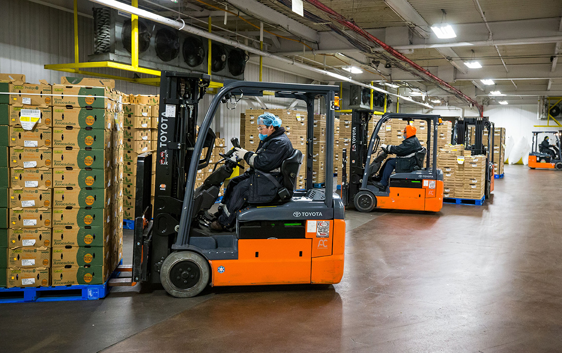 Specialized Forklifts for Food Storage Industry | Toyota Forklifts